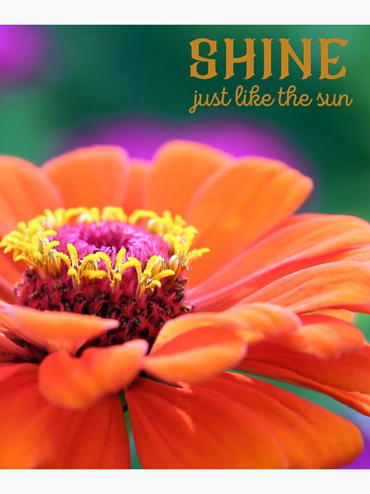 "Shine Flower - Colorful" Sticker by SBWorld | Redbubble