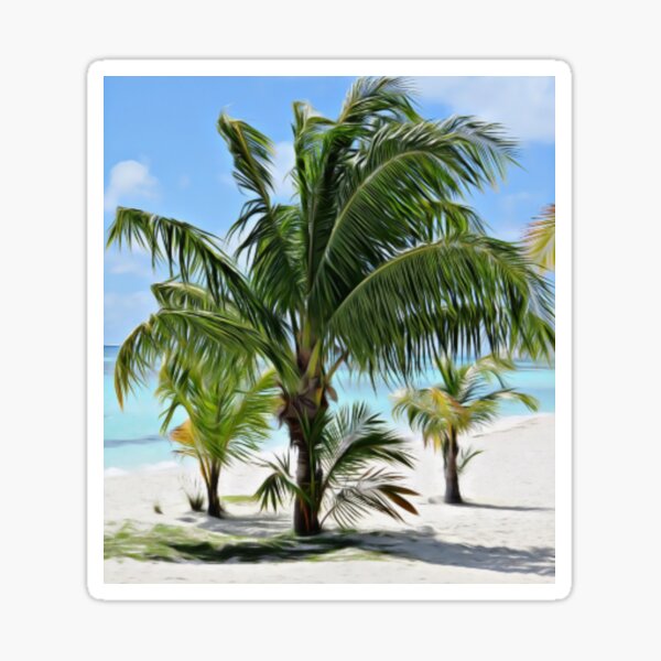 "palm," Sticker by placeit | Redbubble