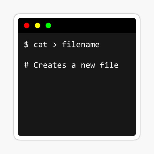 "linux command cat > filename | what does cat > filename do in terminal ...
