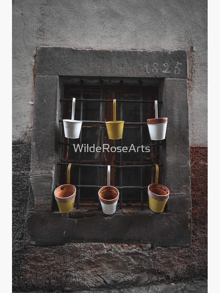 "Plant Pots" Poster for Sale by WildeRoseArts | Redbubble