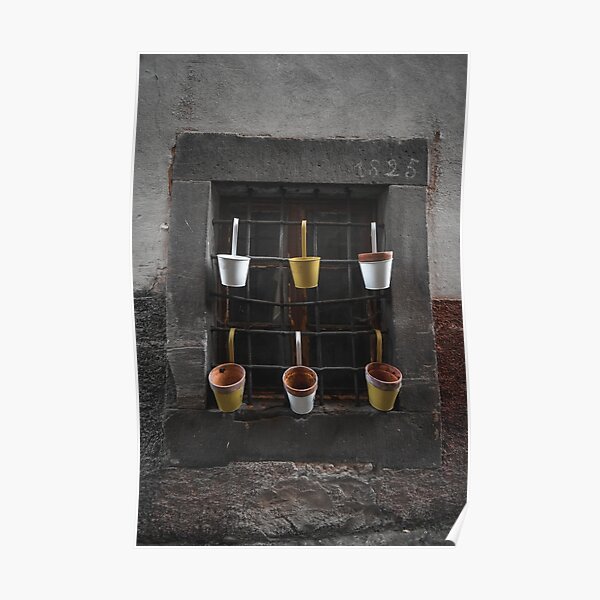 "Plant Pots" Poster for Sale by WildeRoseArts | Redbubble