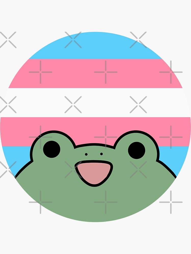 "Transgender Flag | Pride Frog" Sticker by olivks | Redbubble