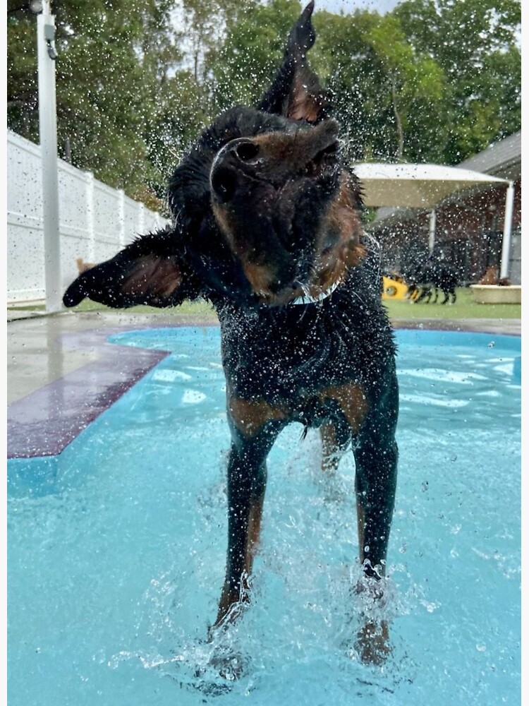 "Shake the Haters Off" Sticker by mrgrove | Redbubble