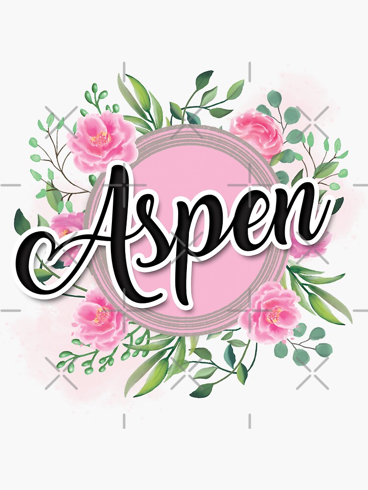 "Aspen name " Sticker for Sale by badinboow | Redbubble