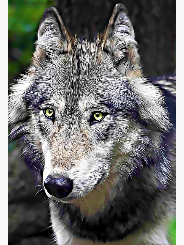 "Wolf thinking " Poster for Sale by Milos-Kash | Redbubble