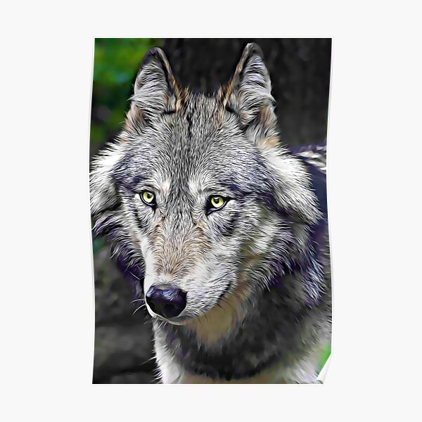 "Wolf thinking " Poster for Sale by Milos-Kash | Redbubble