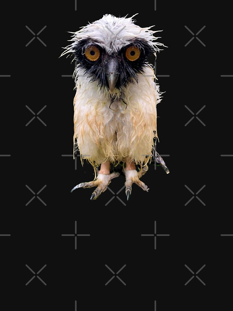 "Wet Owl Meme" T-shirt by KaiZen-Hush | Redbubble | lamont owl t-shirts ...