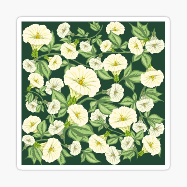"Blooming Creeper. Delicate Pearl Color Flowers." Sticker by GoldenPine ...