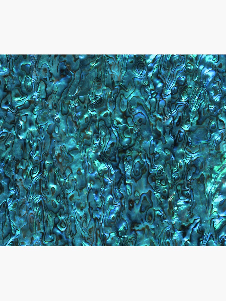 "Abalone Shell | Paua Shell | Seashell Patterns | Sea Shells | Cyan ...