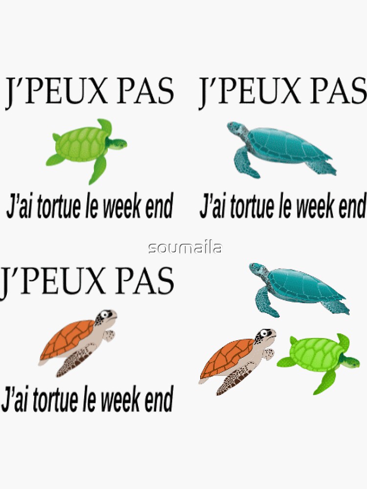 "TURTLE PACKS" Sticker by soumaila | Redbubble