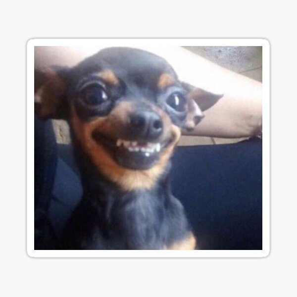 "Happy Meme Dog" Sticker by its2shainz | Redbubble