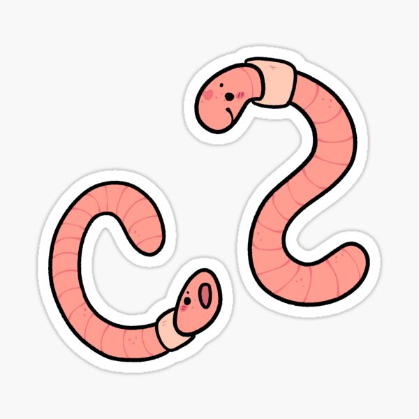 "Worms" Sticker for Sale by Honey-Bee-Buys | Redbubble