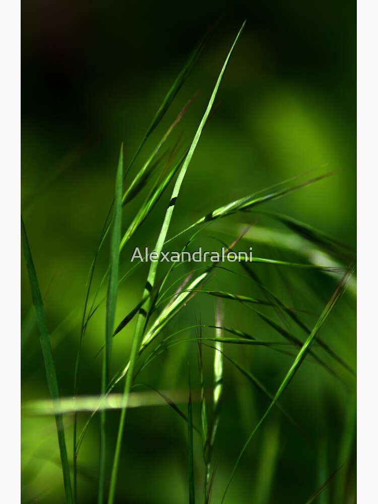 "Abstract Green Grass" Sticker by AlexandraIoni | Redbubble