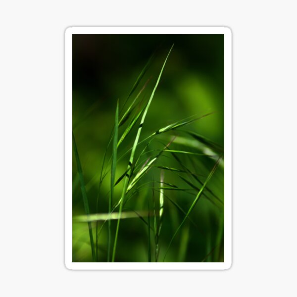 "Abstract Green Grass" Sticker by AlexandraIoni | Redbubble