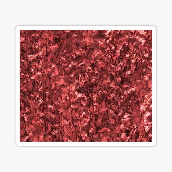 "Abalone Shell | Paua Shell | Seashell Patterns | Sea Shells | Red Tint ...