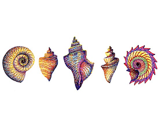 "Regenbogen Pointillism Seashell Muster" Poster von Hannahiwi | Redbubble