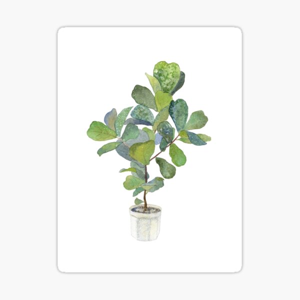 Paper & Party Supplies Paper Brown Fig Tree Plant Sticker ~ Houseplant ...