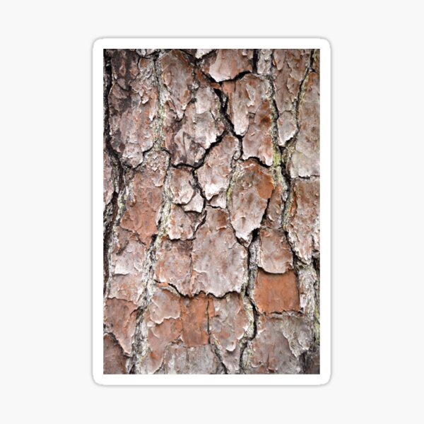 "Patterns in Nature - Old Tree Bark Classic ." Sticker by morphykiswop ...