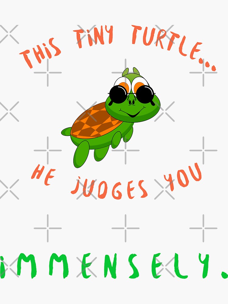 "THIS TINY TURTLE...HE JUDGES YOU, IMMENSELY. Orange FUNNY QUOTES ...