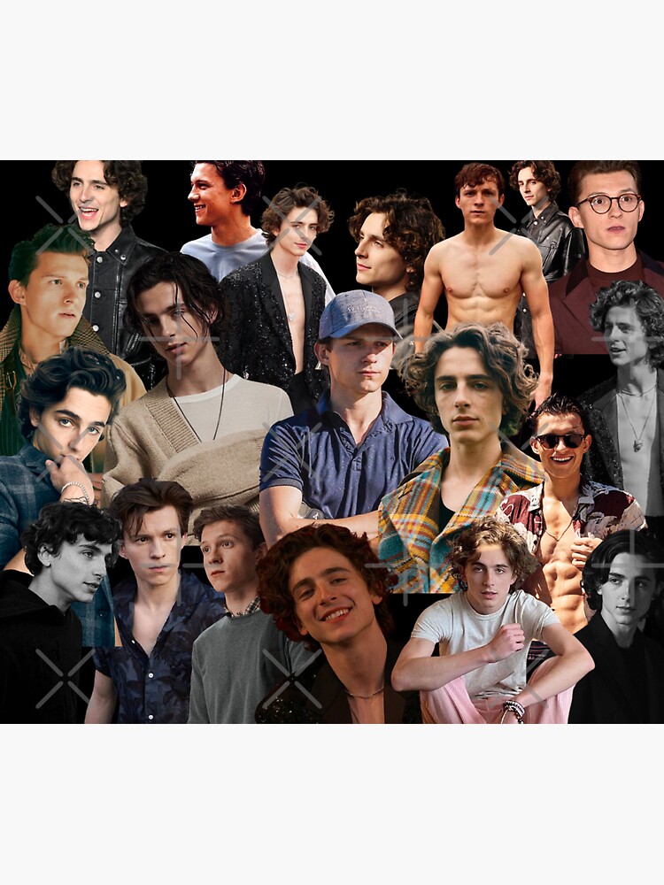 Timothee Chalamet And Tom Holland Photo Collage Sticker By