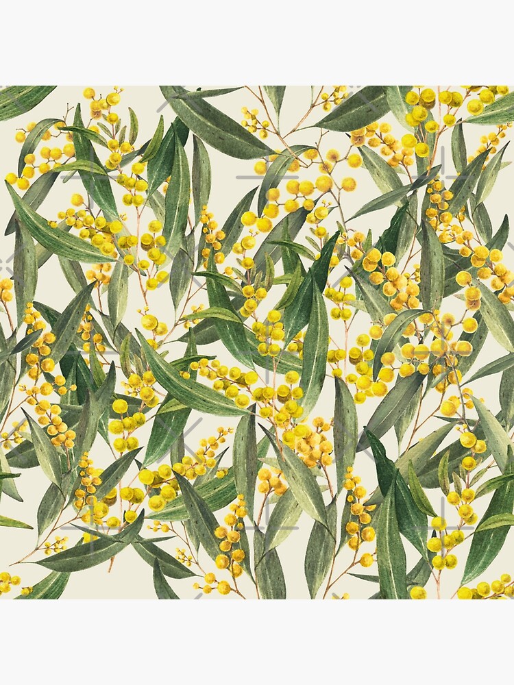 "australian wattle flower pattern" Poster for Sale by hakim2005 | Redbubble