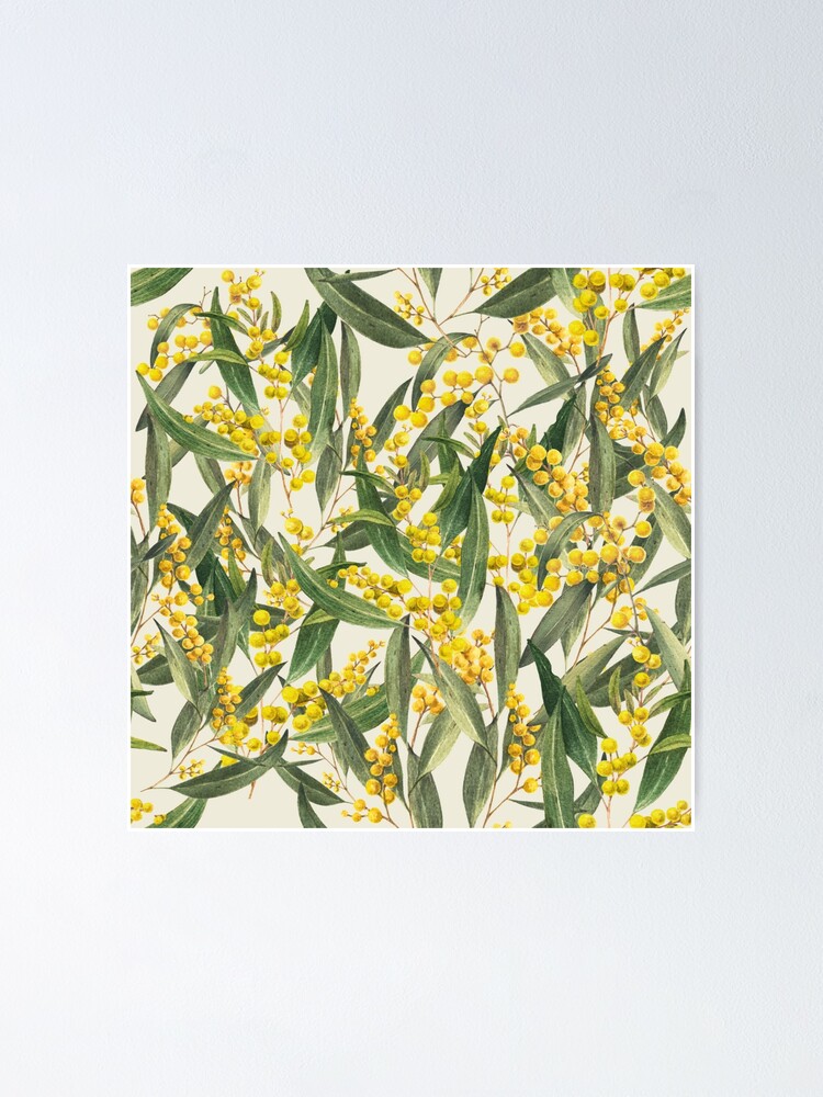 "australian wattle flower pattern" Poster for Sale by hakim2005 | Redbubble