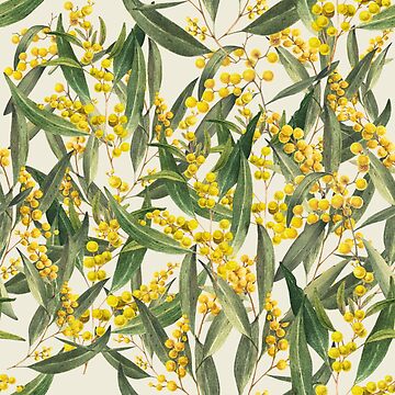 "australian wattle flower pattern" Art Board Print for Sale by ...