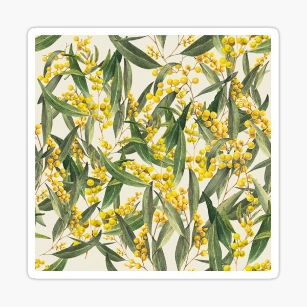 "australian wattle flower pattern" Sticker by hakim2005 | Redbubble