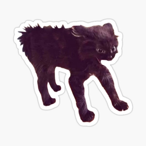 "Angry Cat" Sticker by happysanama | Redbubble