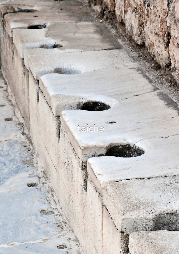 "Latriana, Ancient Roman Lavatory In Ephesus Turkiye" by taiche | Redbubble