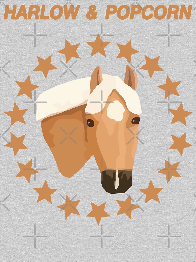 "Harlow And Popcorn Merch Popcorn The Pony" Kids Pullover Hoodie for ...