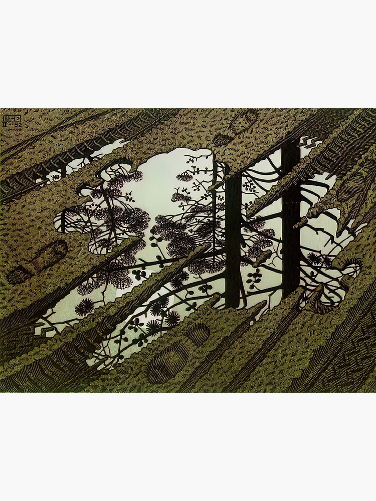 "Puddle by M.C. Escher" Poster for Sale by AestheticsXarts | Redbubble