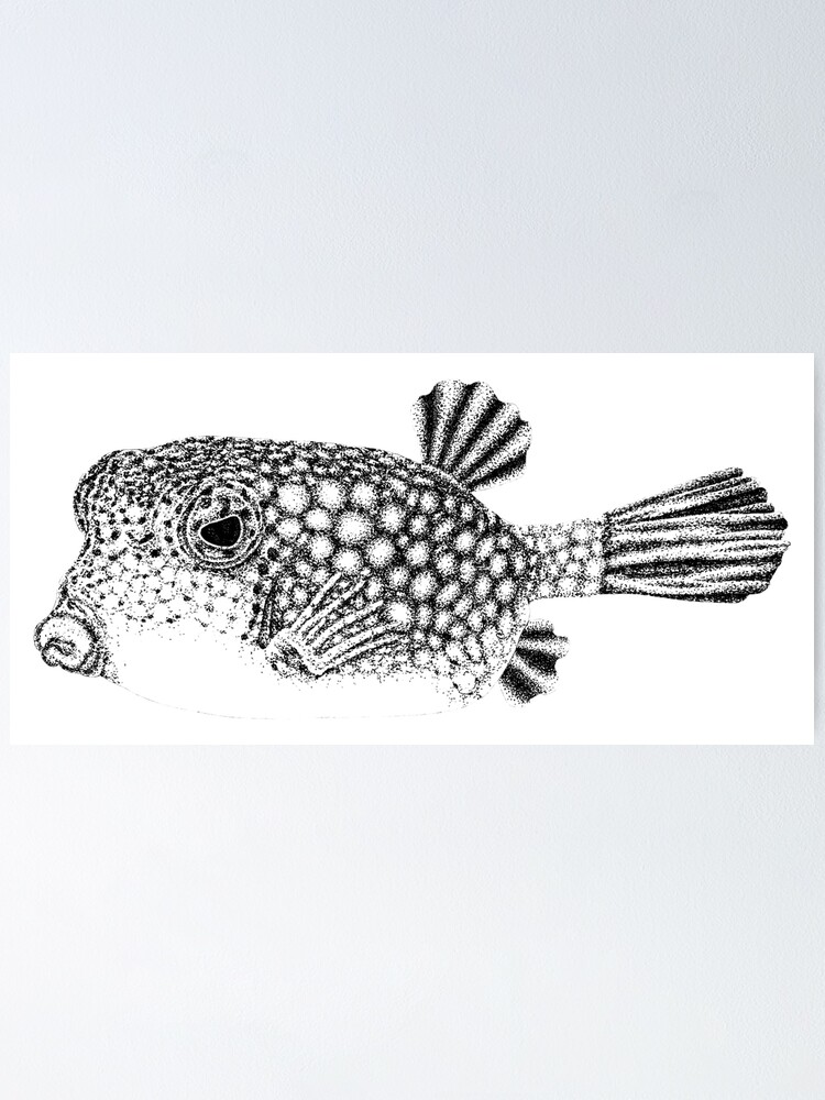 "Yellow boxfish drawing" Poster for Sale by LorenDowding | Redbubble