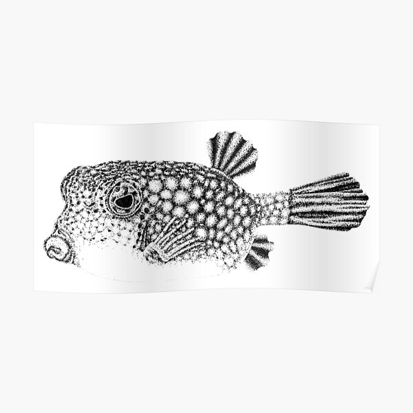 "Yellow boxfish drawing" Poster for Sale by LorenDowding | Redbubble