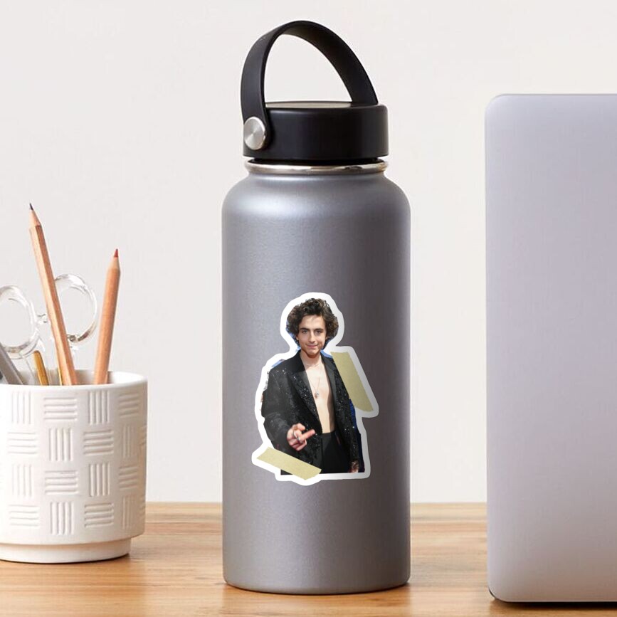 "Timothée Chalamet Middle Finger Scrapbook" Sticker for Sale by ...