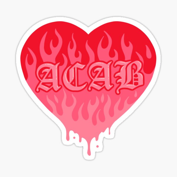 "ACAB pink punk anarchy " Sticker by HotSnob | Redbubble
