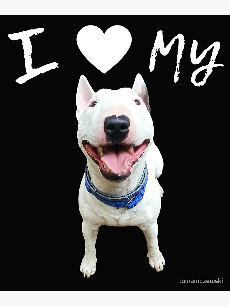 "For lovers of miniature bullterier" Poster for Sale by tomamczewski ...