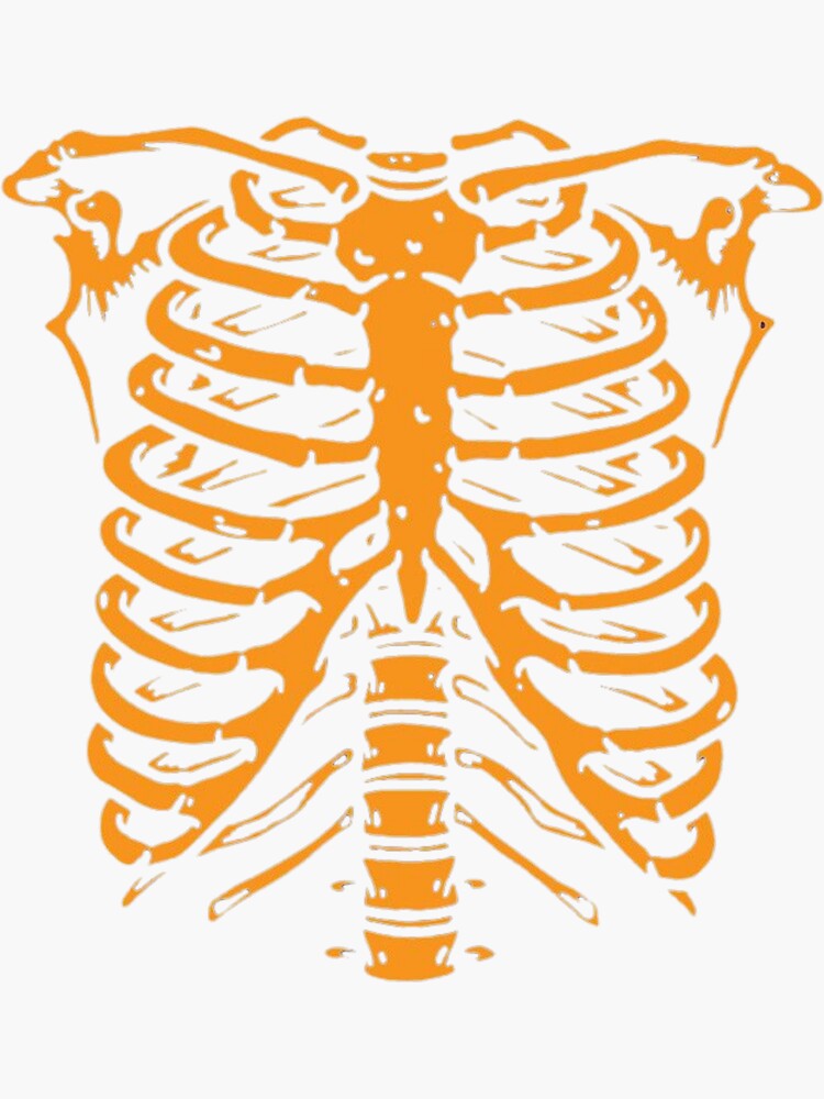 " Rib Cage " Sticker by Shopamio | Redbubble