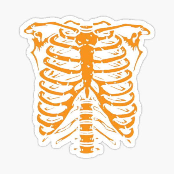 " Rib Cage " Sticker by Shopamio | Redbubble
