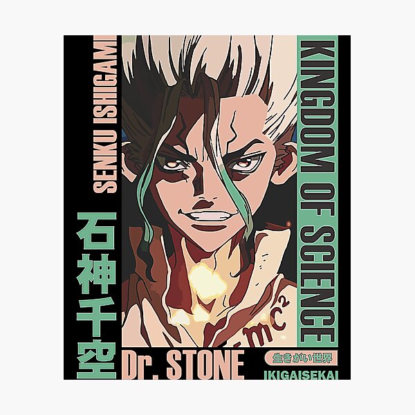 "Dr Stone Dr Stone Dr Stone" Photographic Print for Sale by enlynjuvere ...