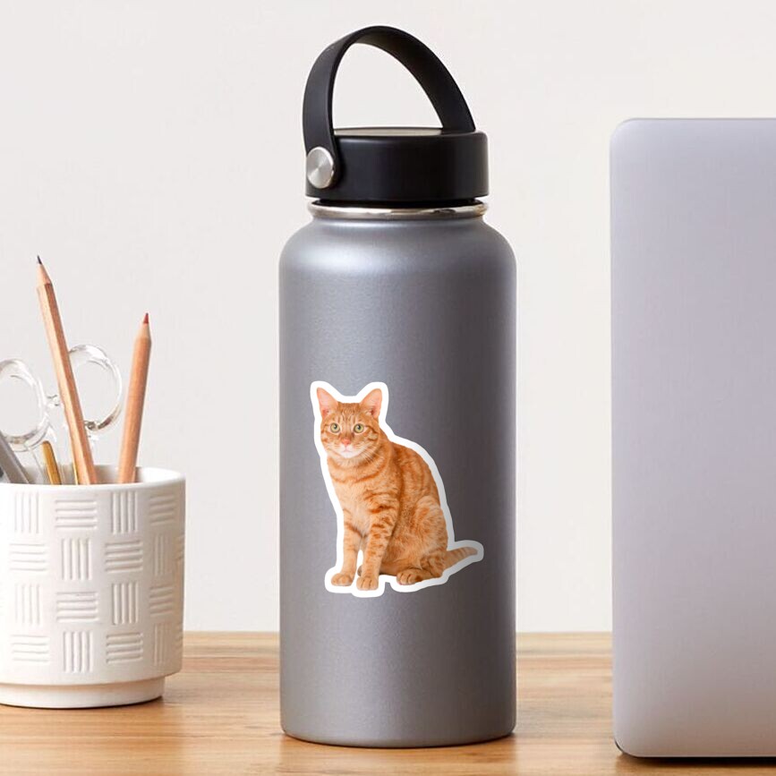 "Orange Tabby Cat" Sticker by mariejosee22 | Redbubble