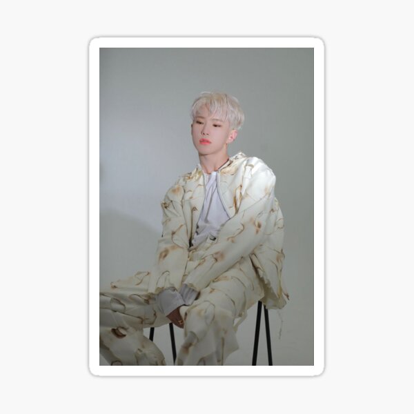 "Seventeen Hoshi" Sticker by kpopnow | Redbubble