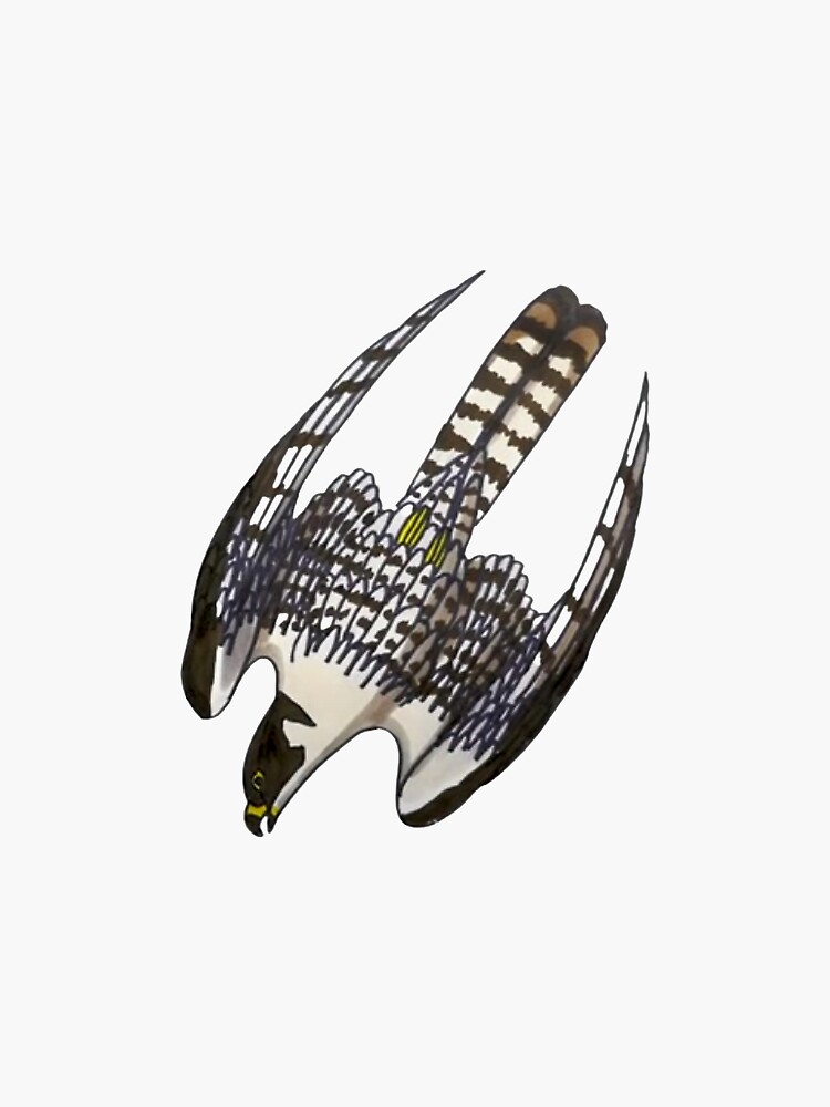 "Peregrine Falcon Diving" Sticker by mar1na234 | Redbubble