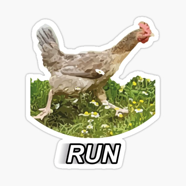 "Chicken Run" Sticker by Chicken104 | Redbubble