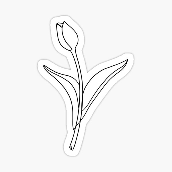 "White single line tulip drawing" Sticker by chiarads | Redbubble