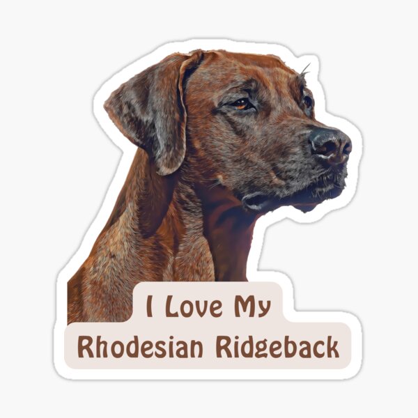 "I Love My Rhodesian Ridgeback" Sticker by NiftyTees | Redbubble