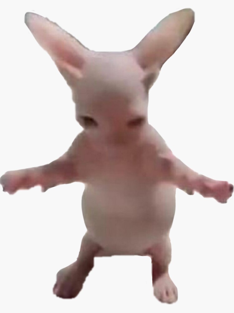 "BABY BINGUS BELOVED" Sticker for Sale by sadmothz | Redbubble