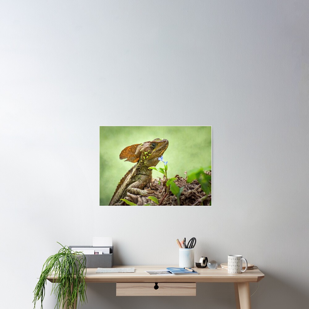 "Jesus Christ Lizard" Poster for Sale by RebeccaHerranen | Redbubble