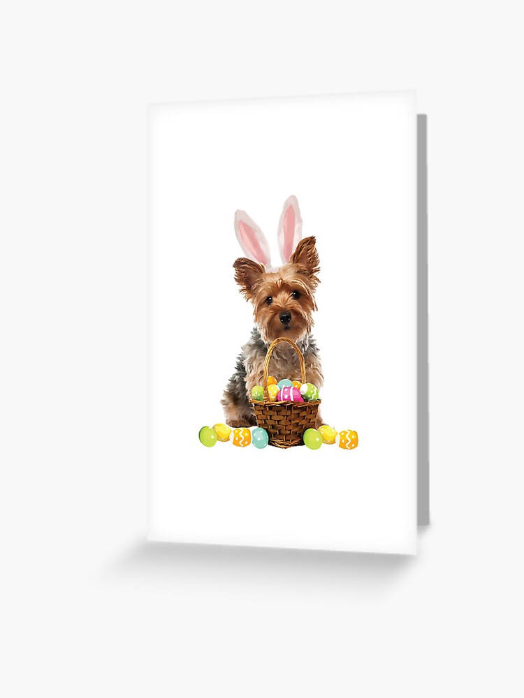 "Easter Yorkie Yorkshire Terrier Rabbit Ears" Greeting Card for Sale by ...