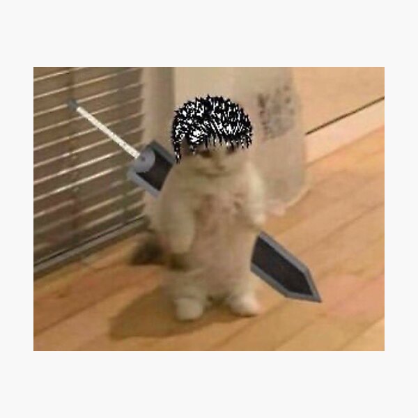"Guts Berserk Cat Meme" Photographic Print by 1Zaners | Redbubble